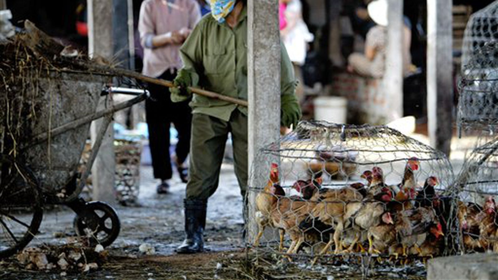 Fuglaflensa geisar enn - Vísir