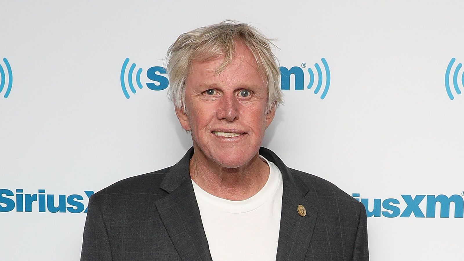 Gary Bus­ey á­kærður fyrir kyn­ferðis­of­beldi - Vísir