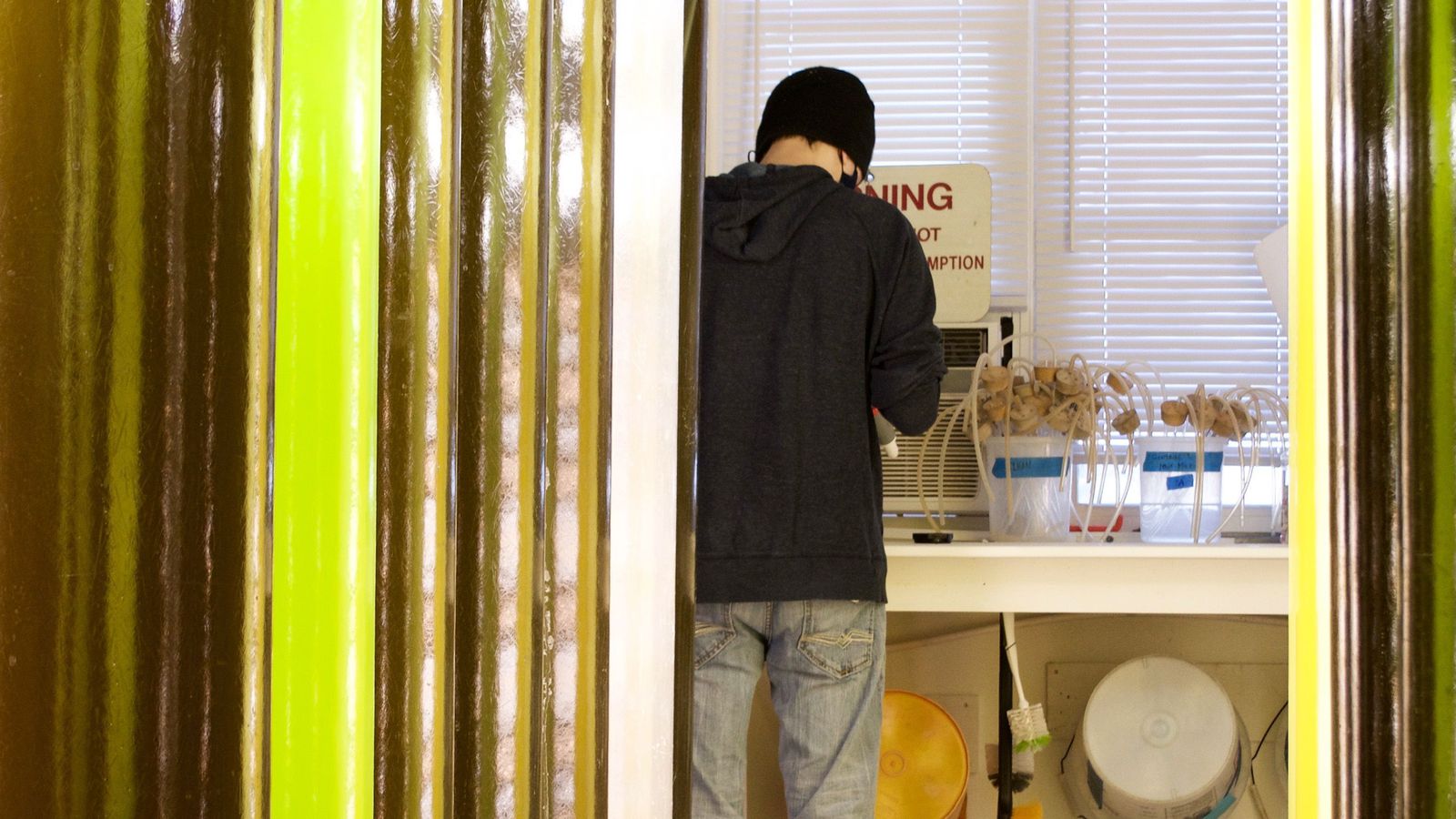 Slitu kol­efnis­bindingar­fyrir­tækinu Running Tide - Vísir