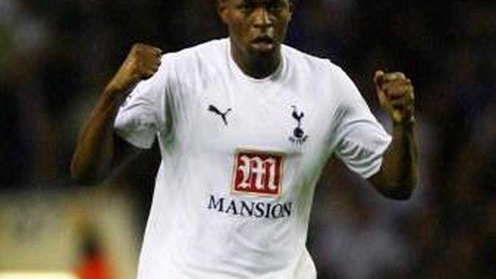 Anthony Gardner til Hull - Vísir