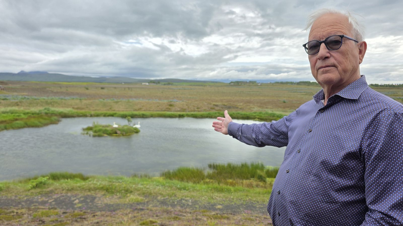 Álftapar með fjóra unga við Hótel Rangá vekur at­hygli - Vísir