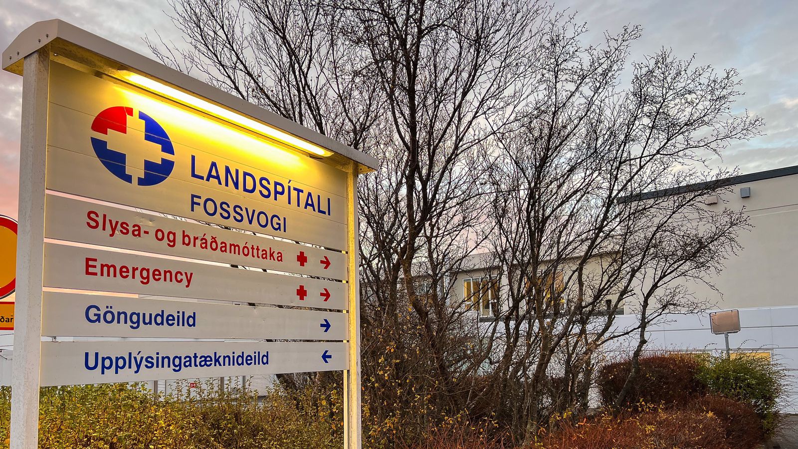 And­lát af völdum fíkni­efna og lyfja aldrei verið fleiri - Vísir