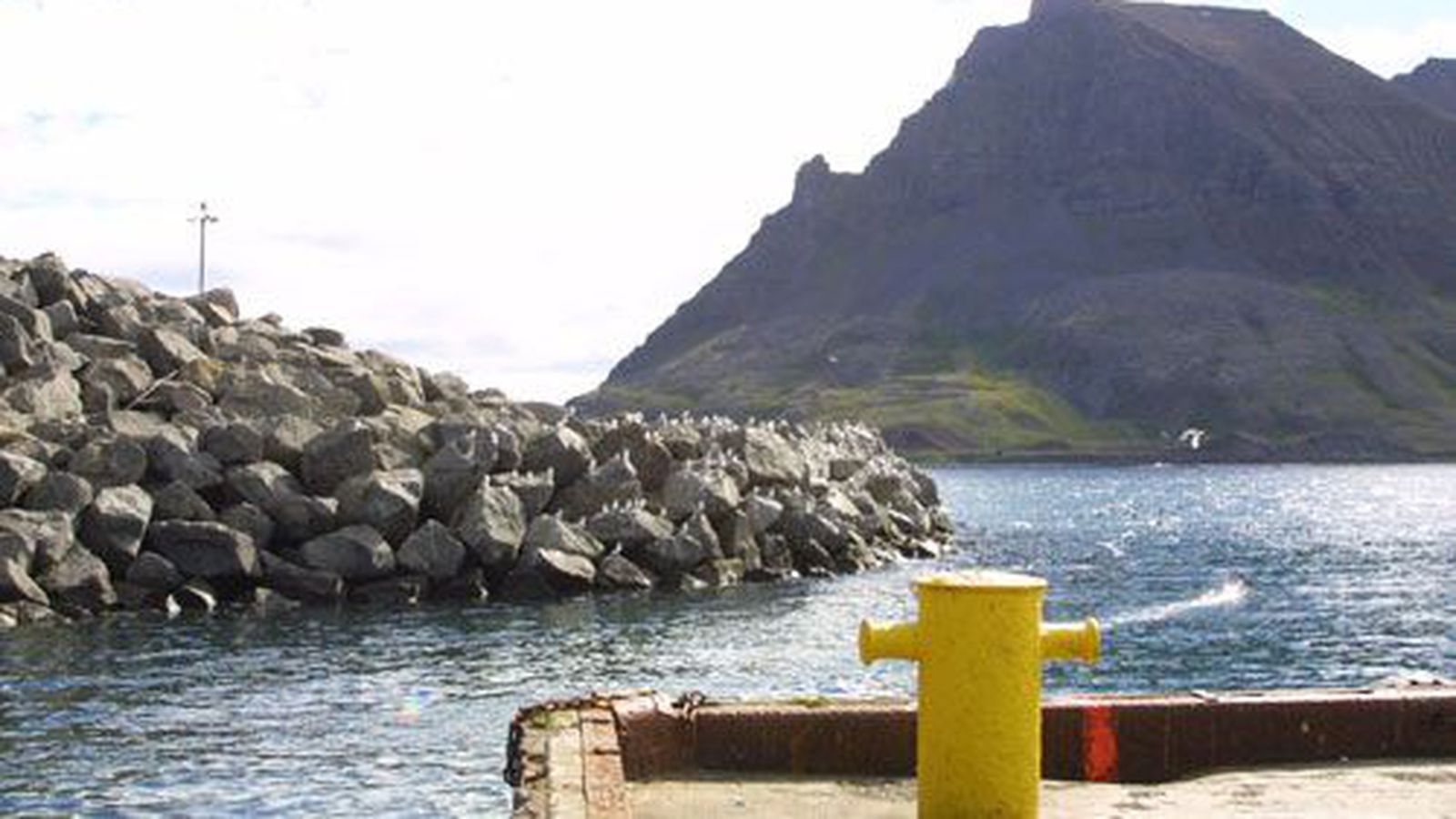 Mikill verðmunur á fiski - Vísir