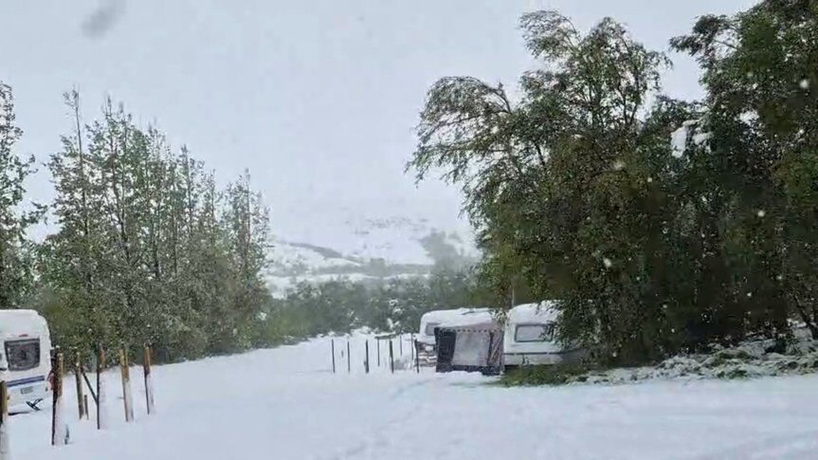 Vorhret í Vagla­skógi: Gas­grillið í fullum gangi svo að for­tjaldið ...