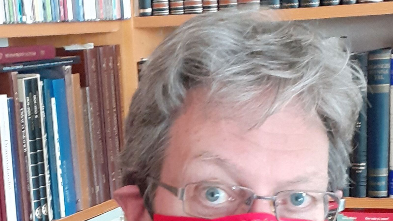 Ís­lenskur her og ís­lensk leyni­þjónusta - Vísir