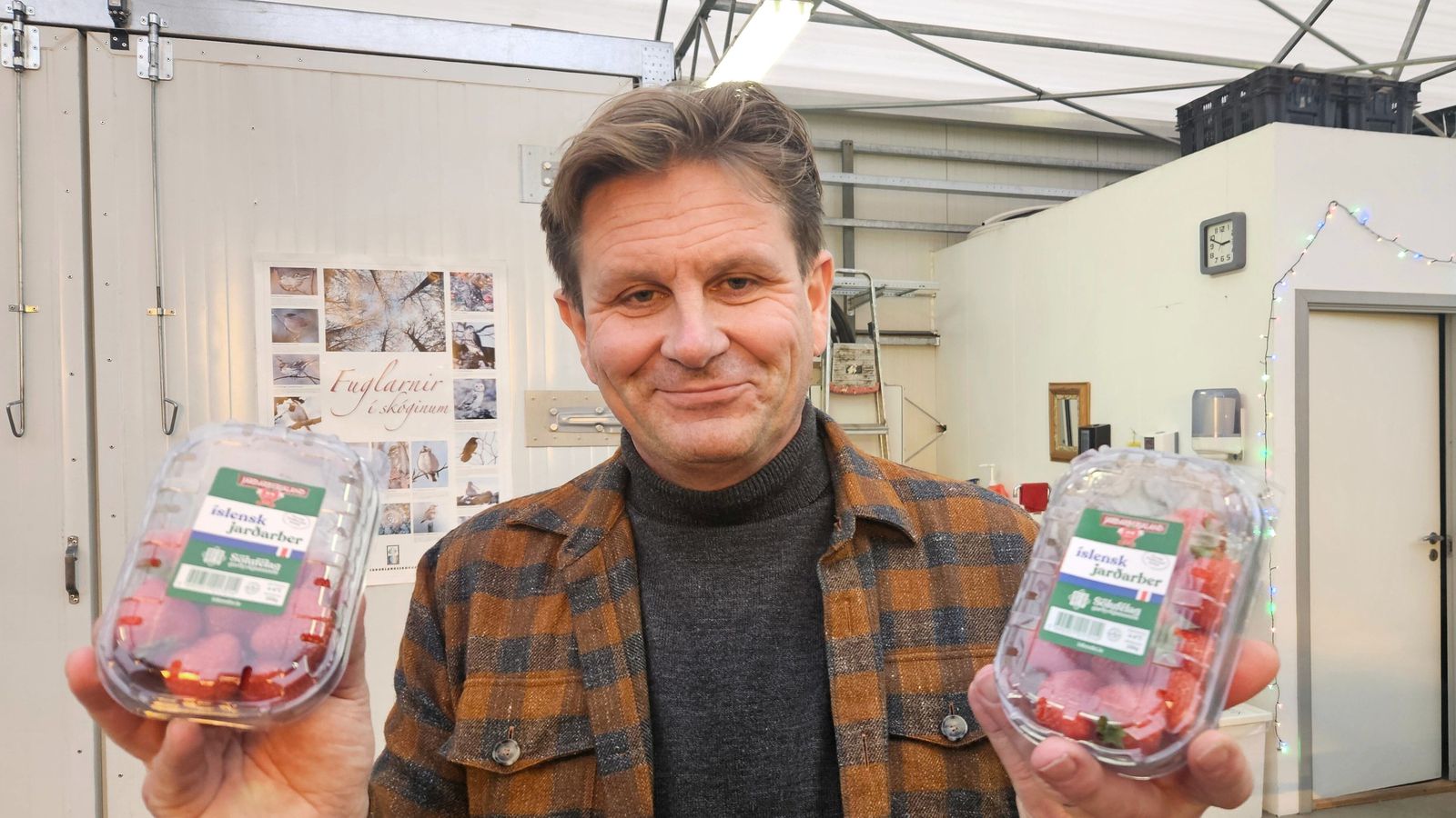 Rækta 60 tonn af ís­lenskum jarðar­berjum - Vísir