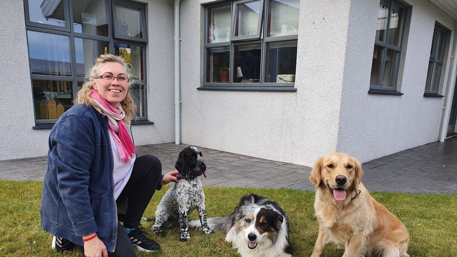 Golfkúluhundurinn Kjói á Ísafirði - Vísir