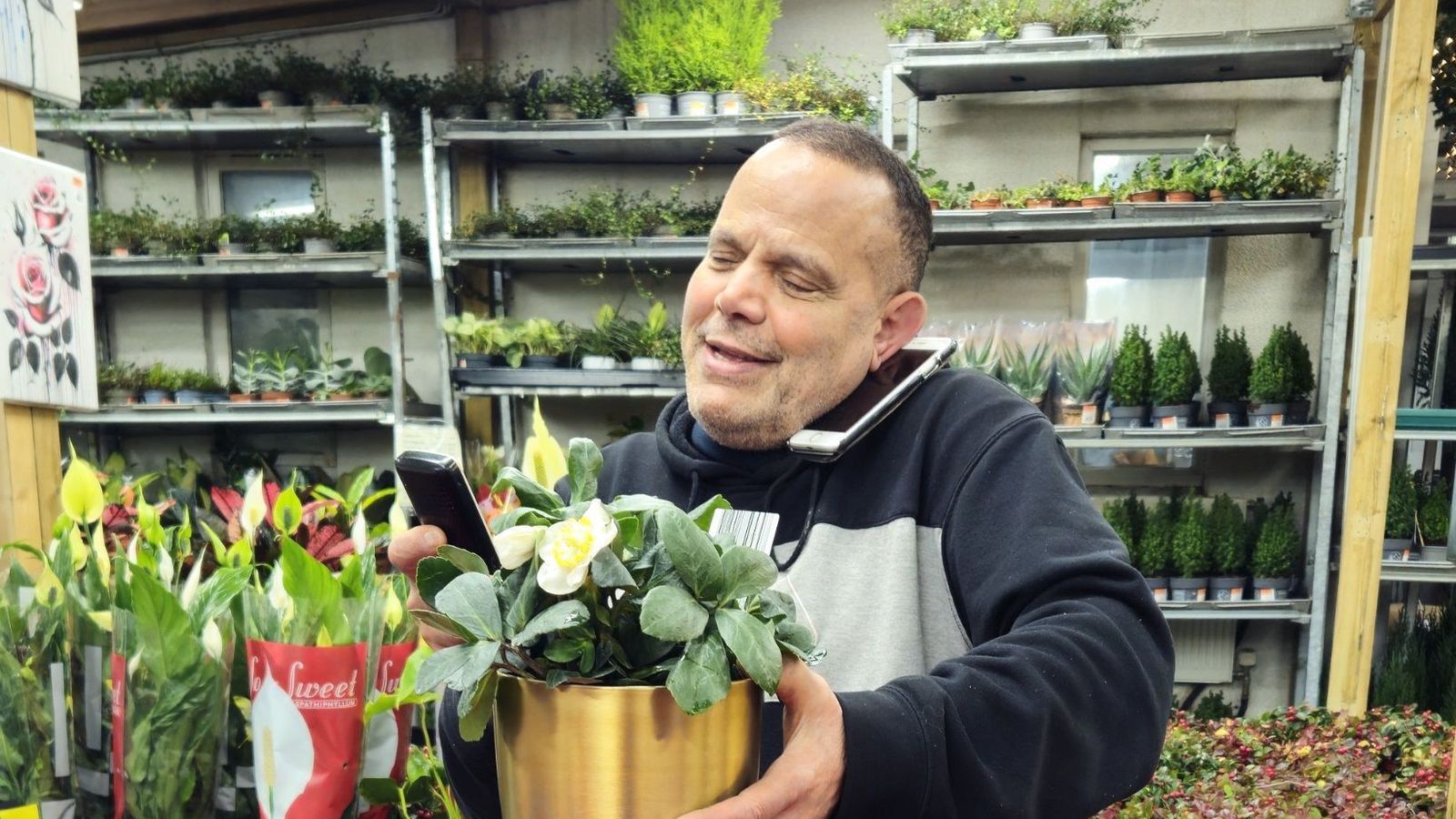 Allt til að fegra og skreyta heimilið að innan og utan fyrir jólin - Vísir