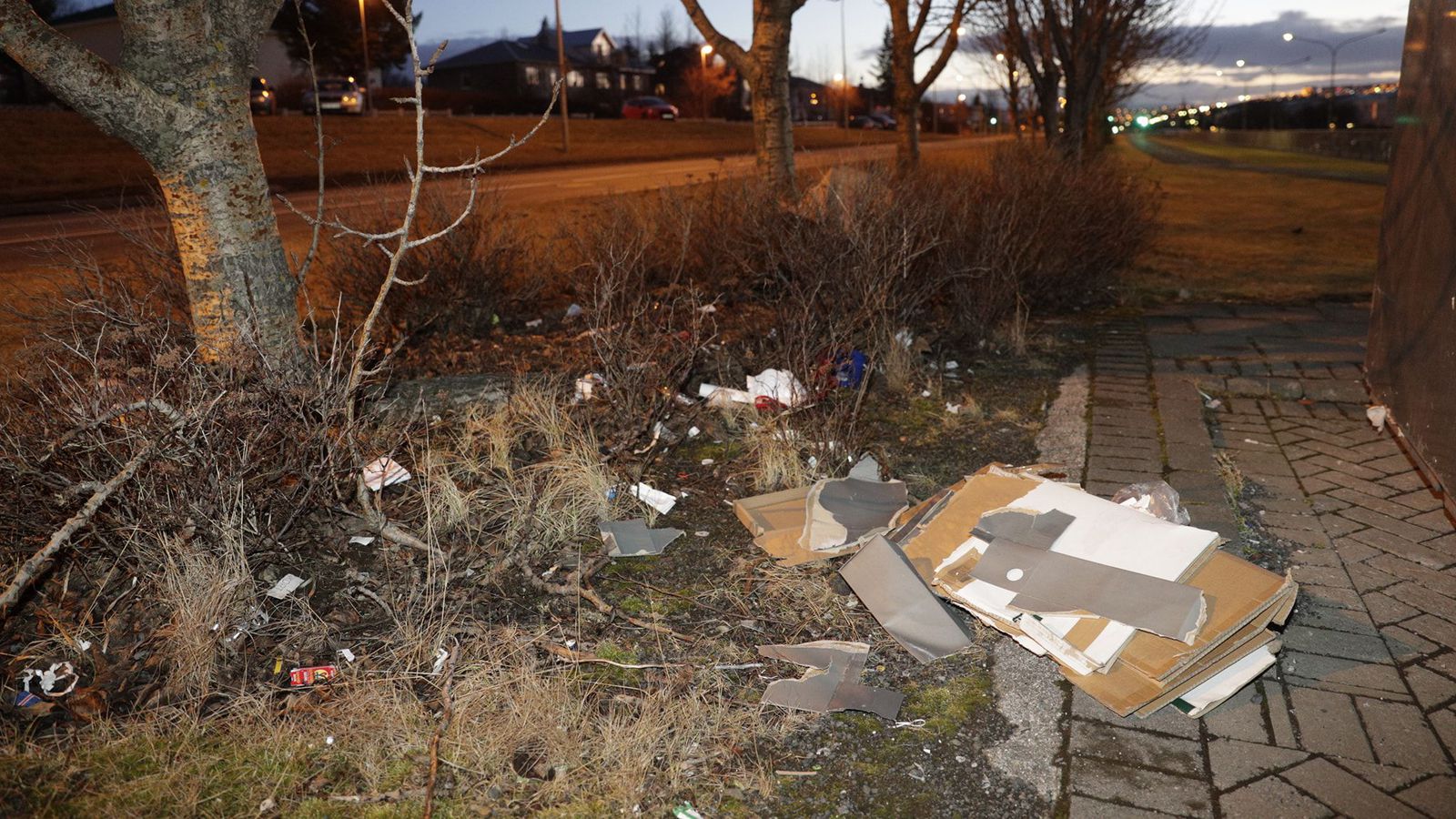 Stóri plokkdagurinn fer fram á morgun - Vísir