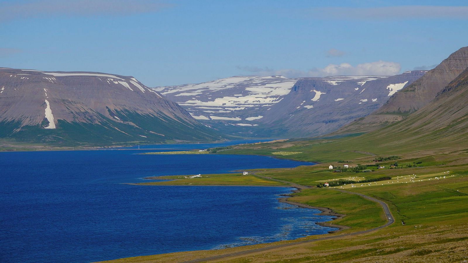 15 til 20 prósent eldislax í kvíum Arctic Fish drepist - Vísir