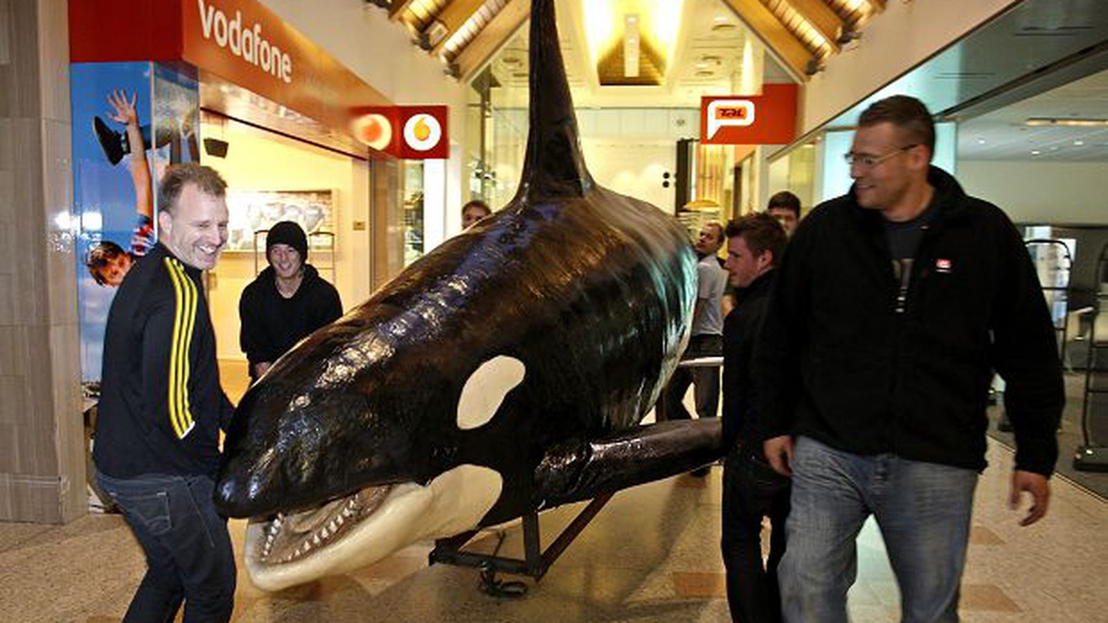 Risastór hvalur í Kringlunni - Vísir