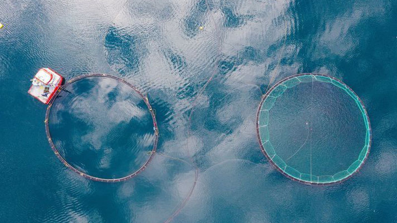 Ice Fish Farm kaupir allt hluta­fé í Löxum - Vísir