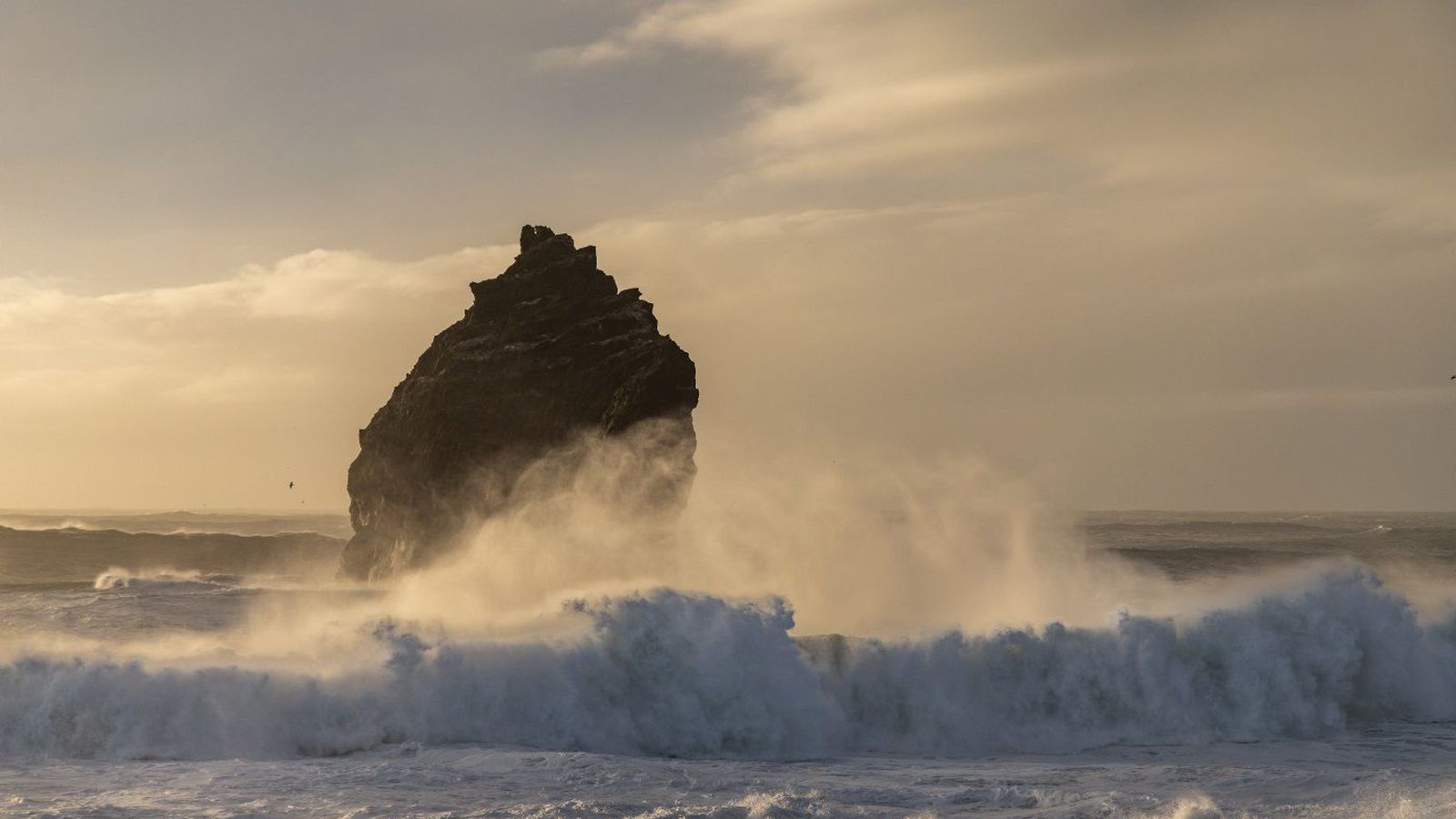 Suð­vestan hvass­viðri með élja­­gangi og gular við­varanir - Vísir