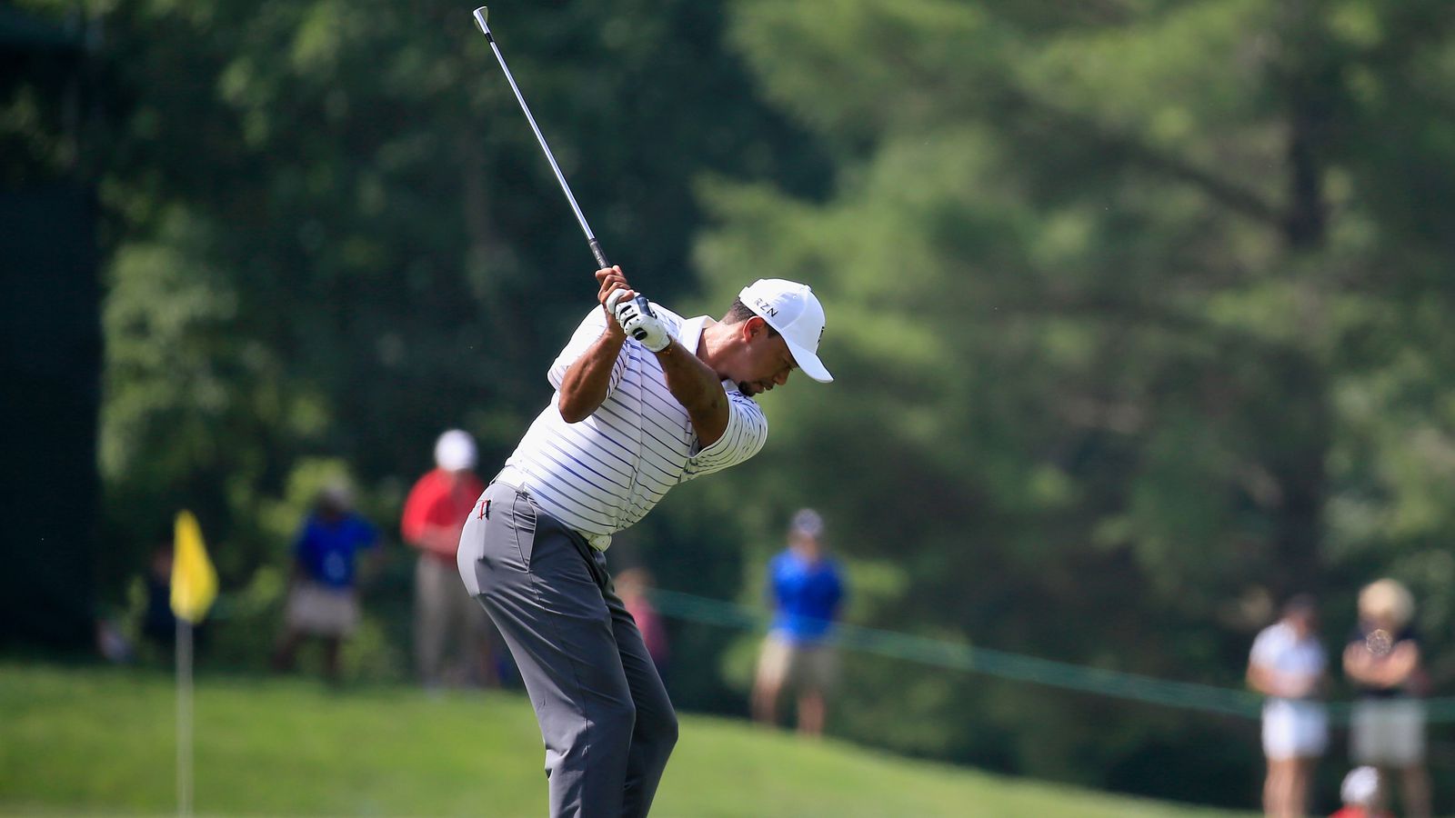 Tiger er sársaukalaus - Vísir