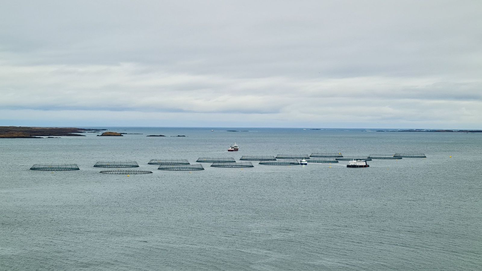 Ice Fish Farm landar 24 milljarða króna lánalínu og sækir nýtt hlutafé ...