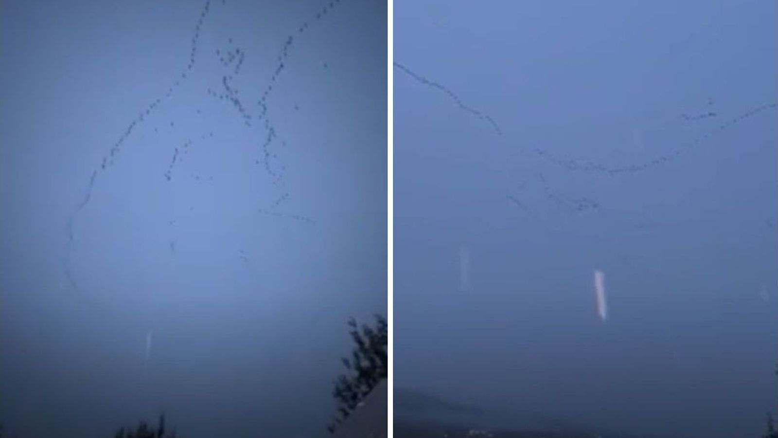 Ó­trú­legt mynd­band af gæsaflokki á flugi - Vísir