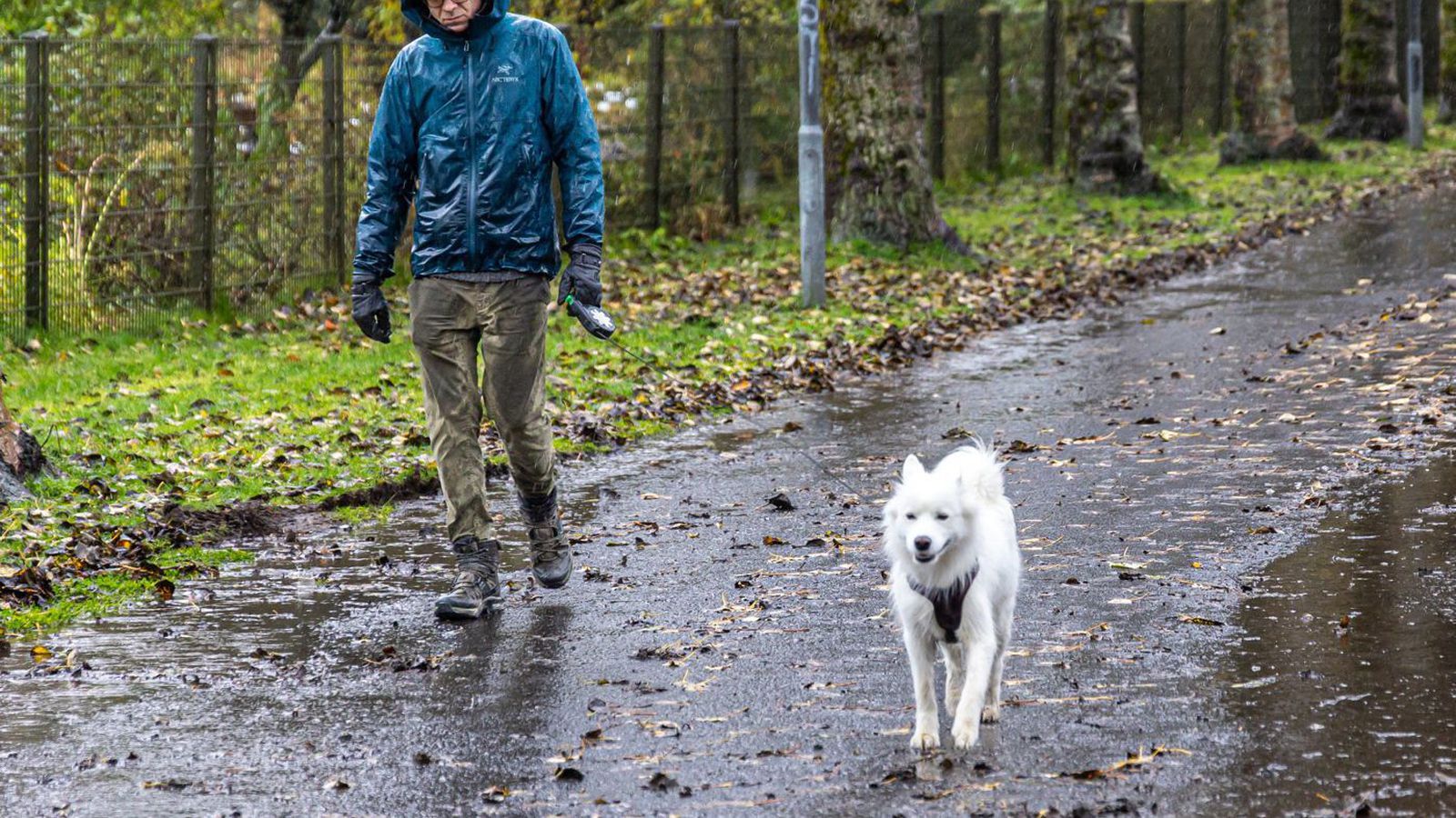 Færri við­varanir í fyrra en oft áður - Vísir