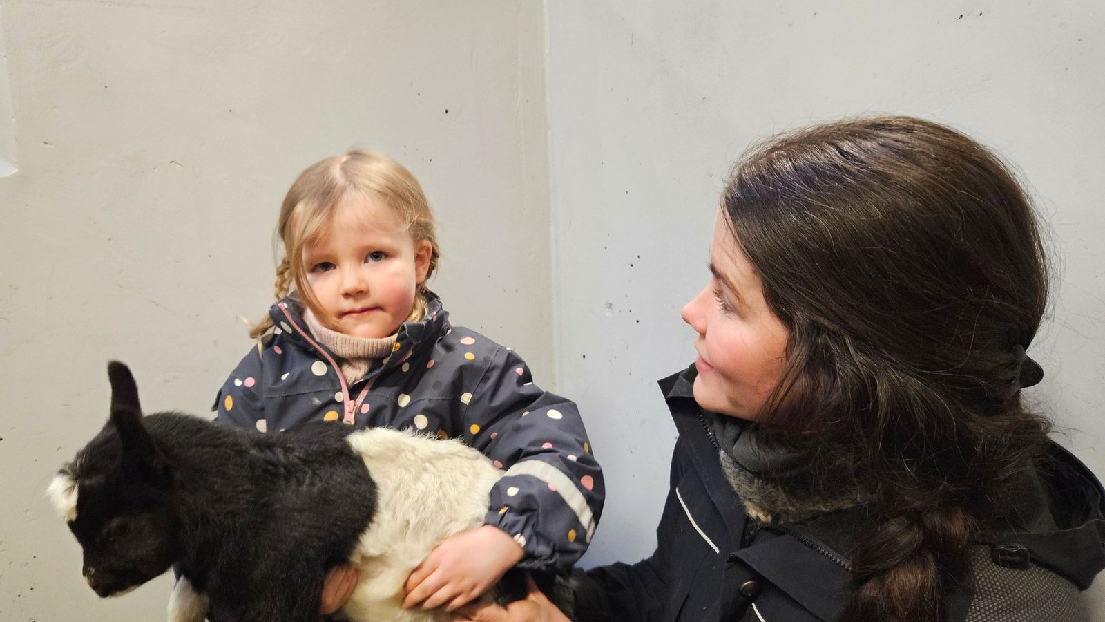 Þrír kið­lingar fæddir – Vorstemming í sveitinni - Vísir