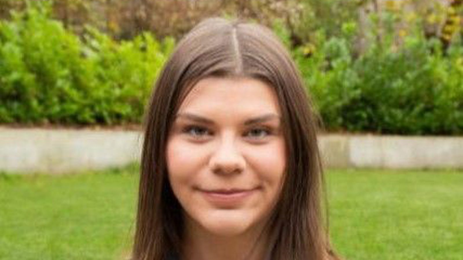 Enginn hundur skilinn eftir - Vísir