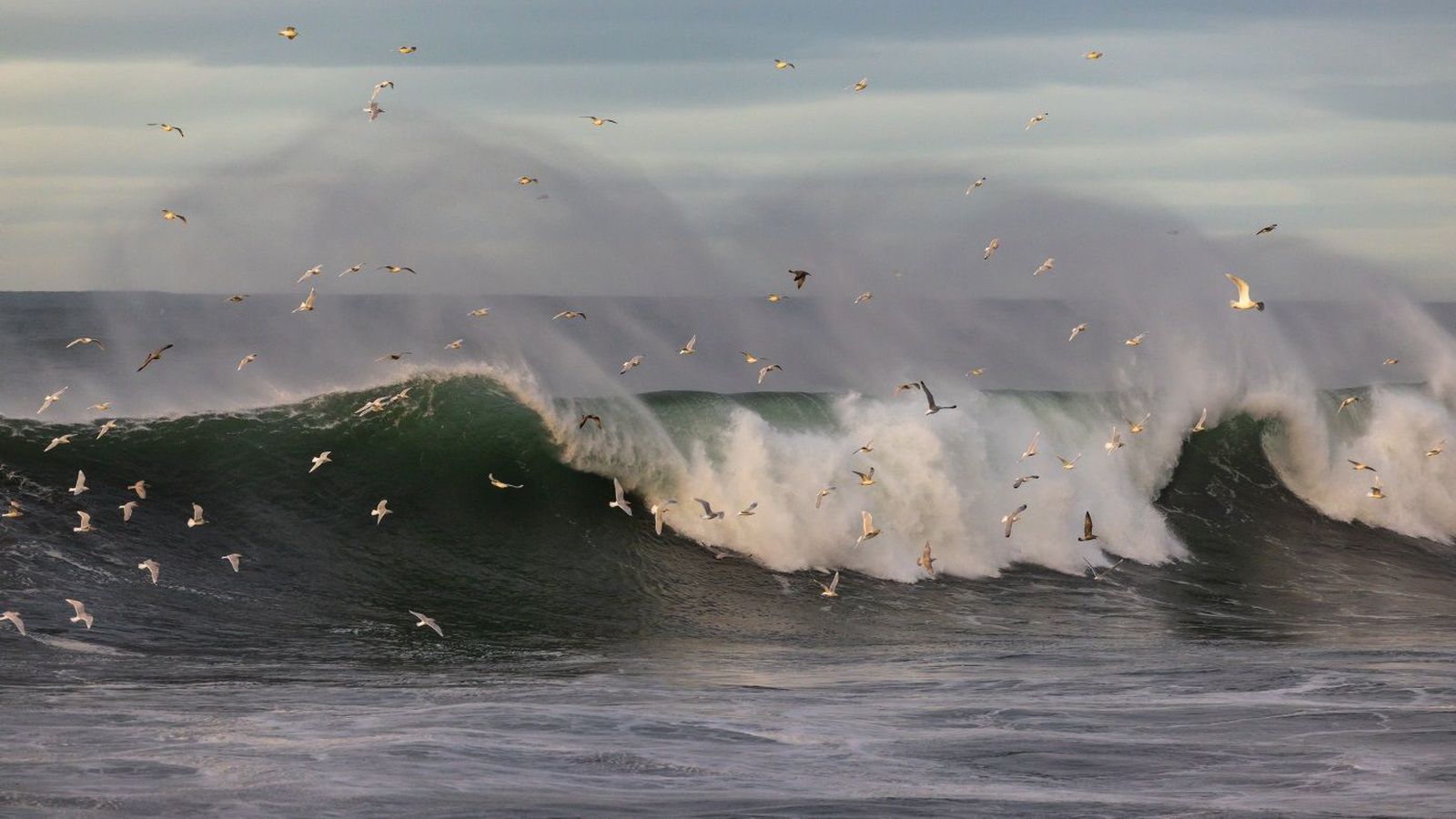 Fínasta veður á landinu en stöku él norðan og austan­til - Vísir