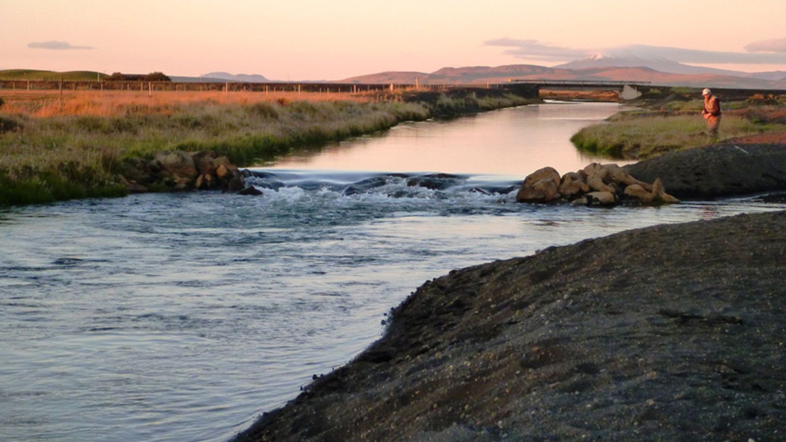 Stórlax og sjóbirtingur í Affallinu - Vísir