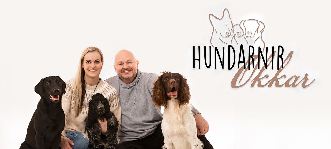 Hundarnir okkar - Sjónvarp - Vísir