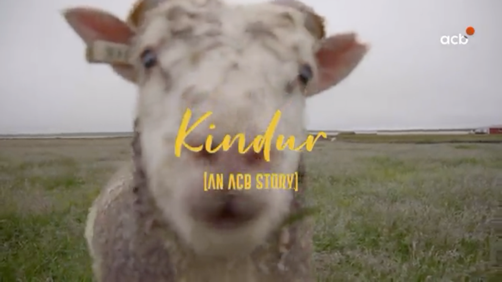 Kindur Trailer #1 - Sjónvarp - Vísir