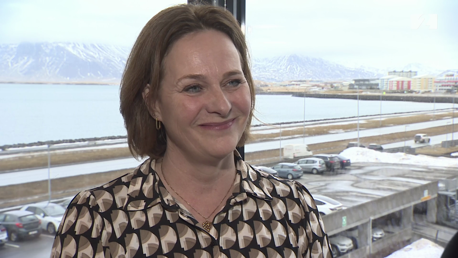 400 þúsund íbúar skráðir á Íslandi - Sjónvarp - Vísir