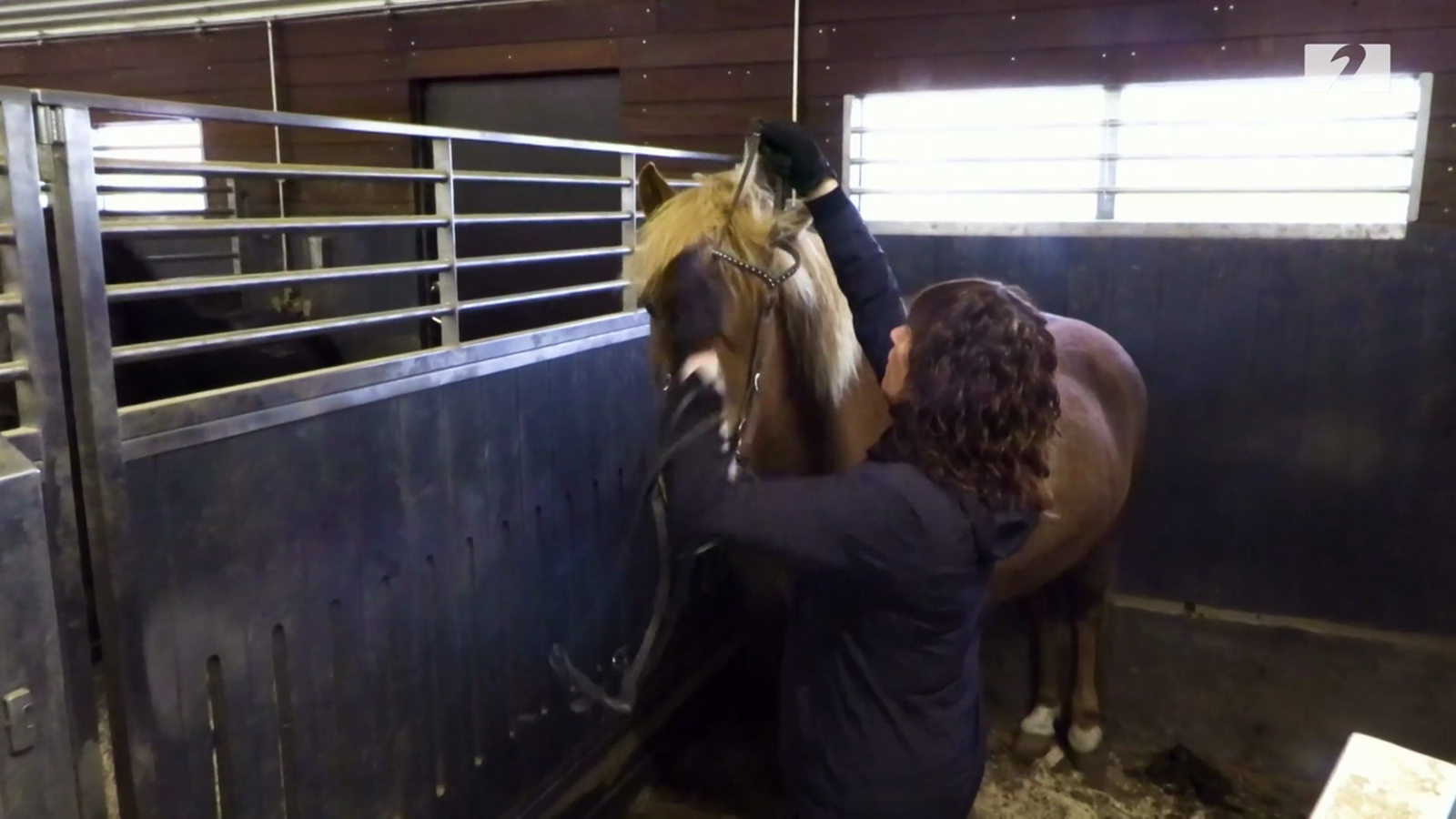 Farnar á hestbak eins og hálfs og fjögurra ára - Sjónvarp - Vísir