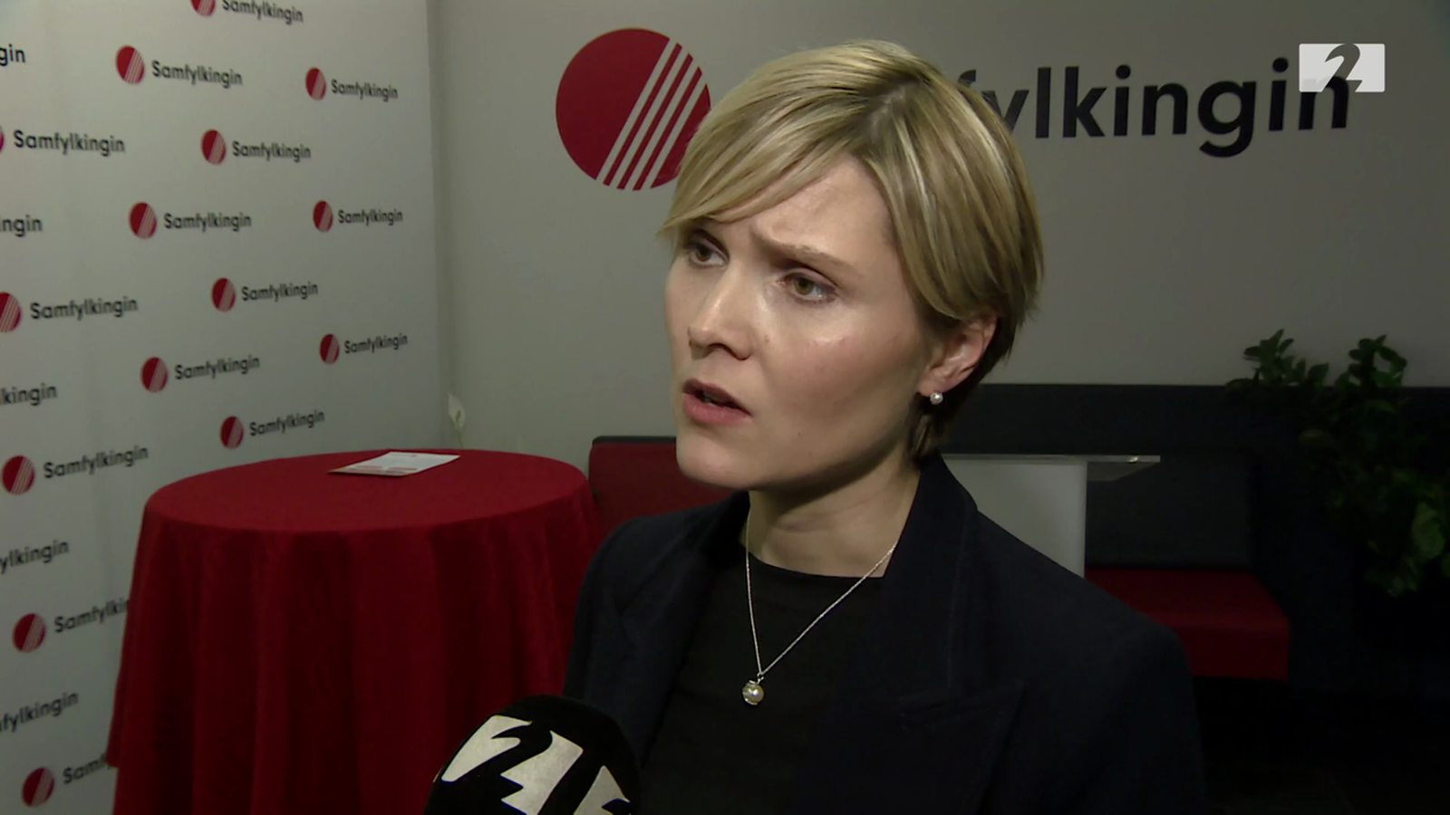 Samfylkingin telur hægt að sækja milljarða í djúpa vasa - Sjónvarp - Vísir