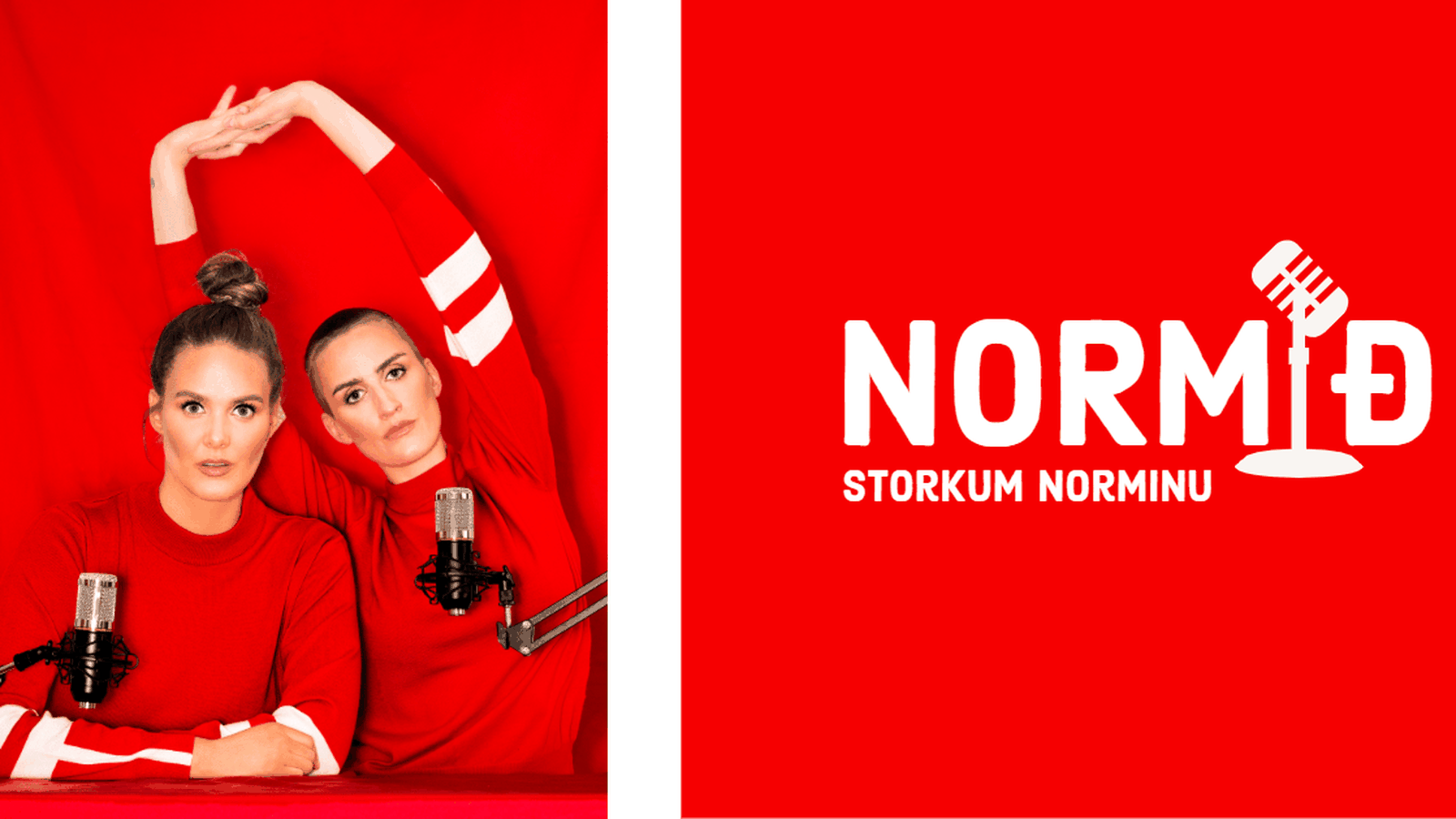 125 - Ari Fenger - Útvarp - Vísir