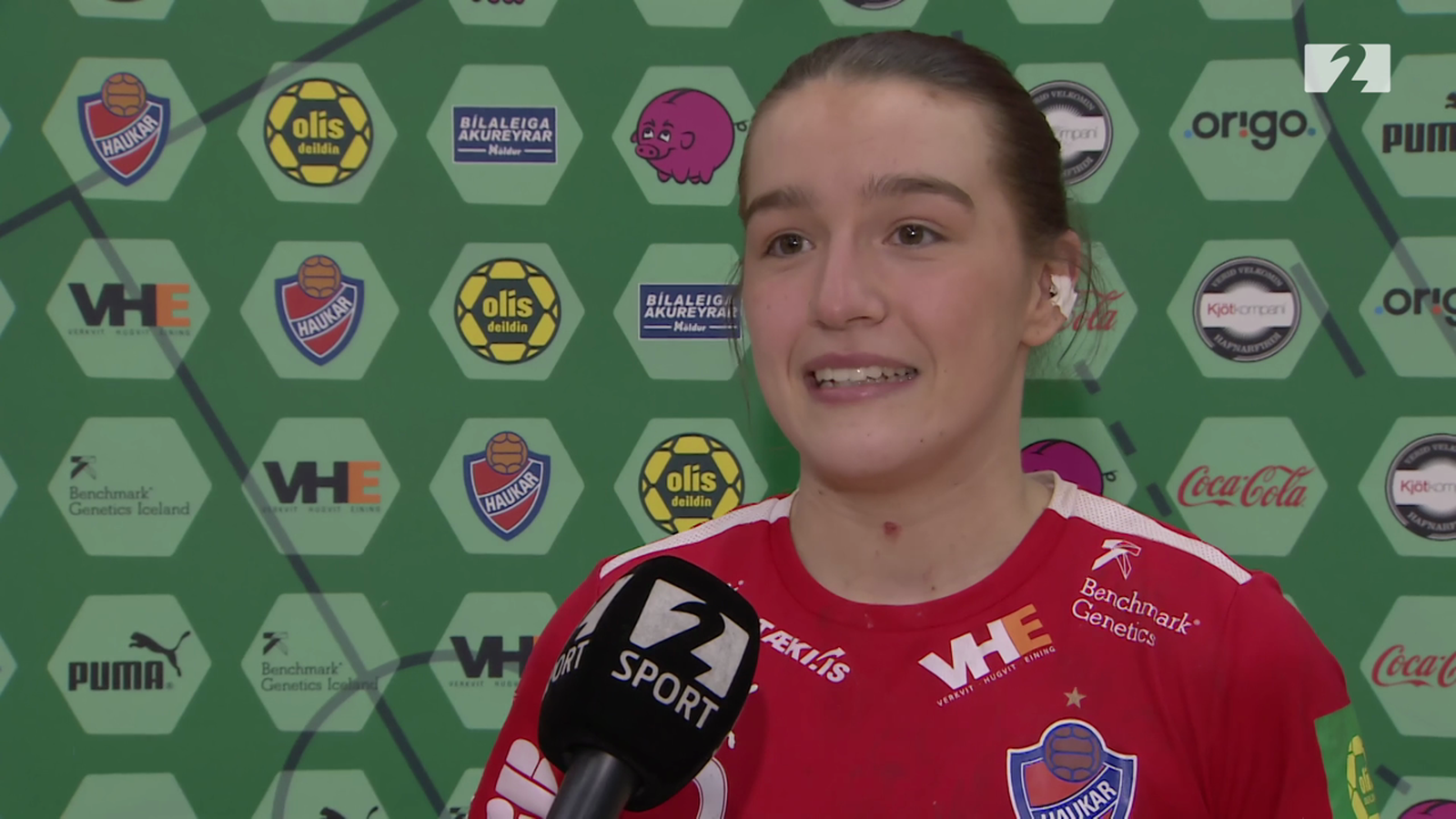 Hetja Hauka - Sjónvarp - Vísir