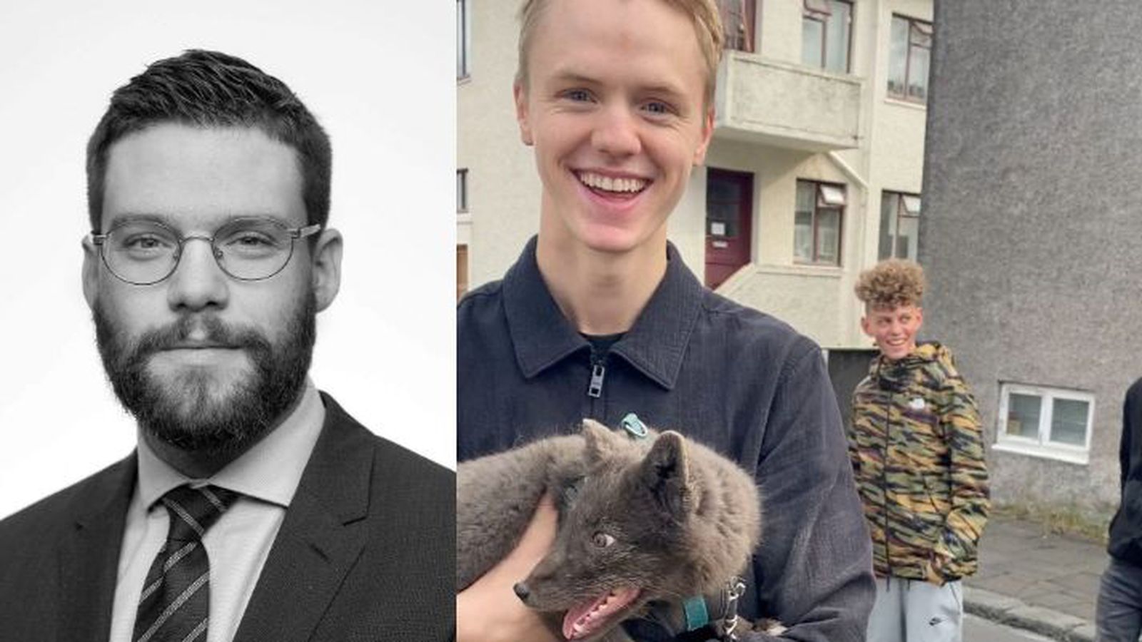 „Get ekki betur séð á þessum myndböndum en þessi refur hafi það ekkert ...