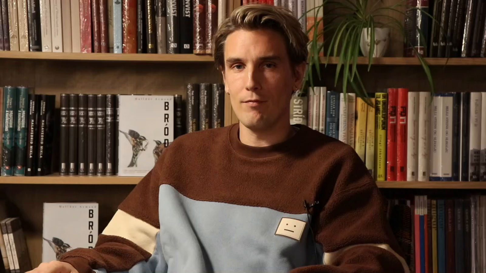 Halldór Armand og Bróðir - Sjónvarp - Vísir