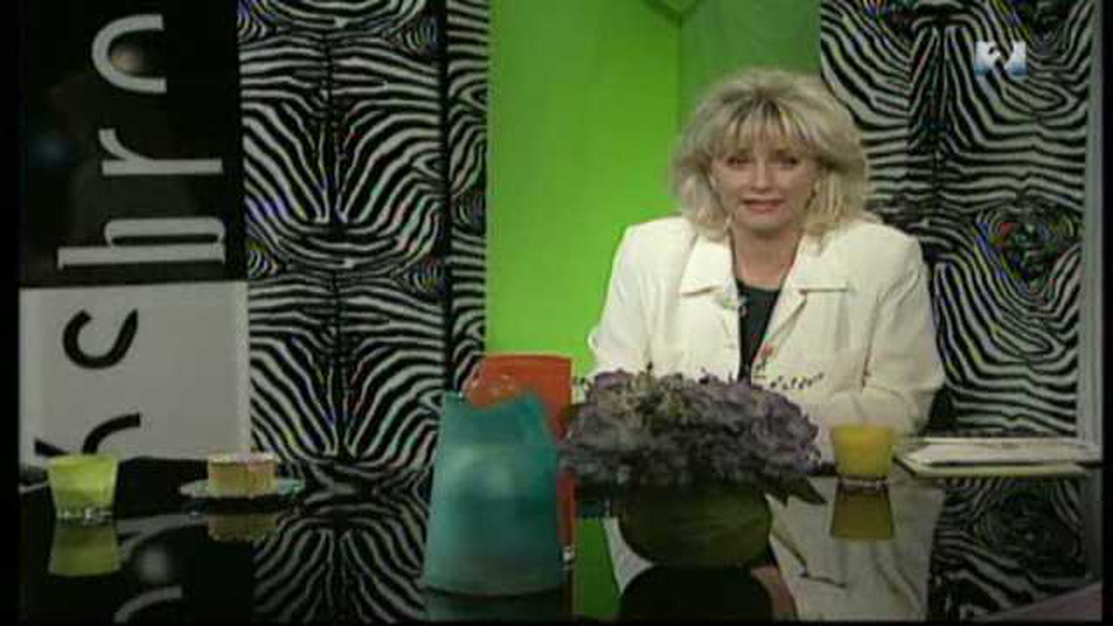 Gleðigjafinn Vala Matt - Sjónvarp - Vísir