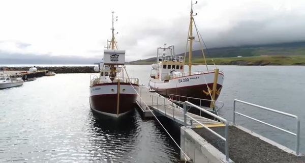 Í beinni - Sjónvarp - Vísir